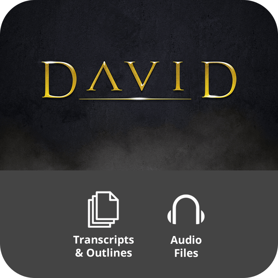 David Basic Sermon Kit | 5-Part – Irresistible Church Network Store